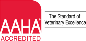 Animal Hospital & Veterinarian in Fishers, IN | Brookschool Road ...