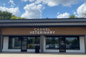 Animal Hospital & Veterinarian in Fishers, IN | Brookschool Road ...