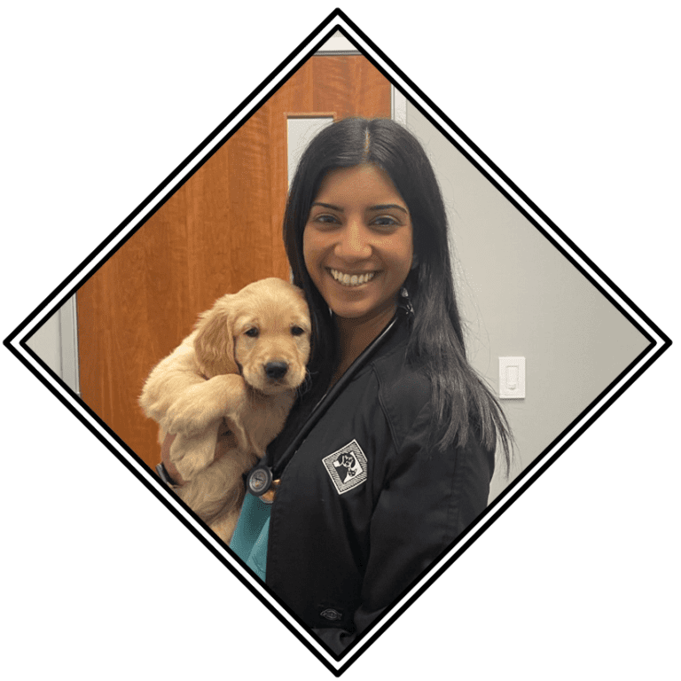 About Our Veterinary Clinic in Fishers, IN