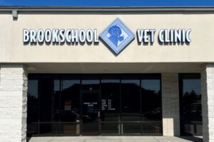Animal Hospital & Veterinarian in Fishers, IN | Brookschool Road ...
